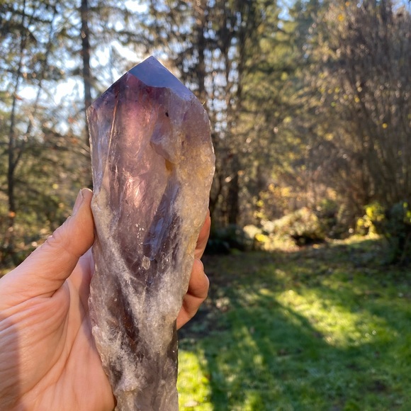 Other | Raw Natural Xl Amethyst Root Wand Dragon Tooth Crystal Nwot ...
